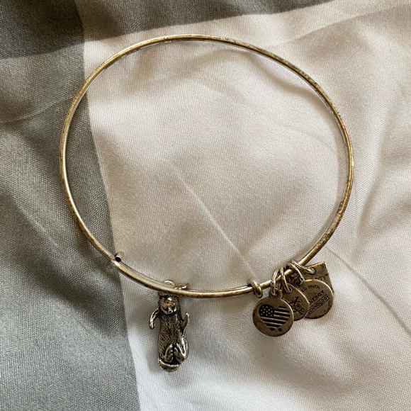 Alex and Ani | Jewelry | Alex And Ani Silver Otter Bracelet | Poshmark